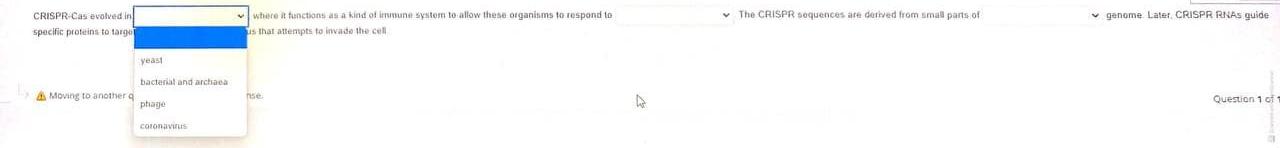 Solved Matching targeted gene Cas9 介 D A с Repair IIIIIIIIII | Chegg.com