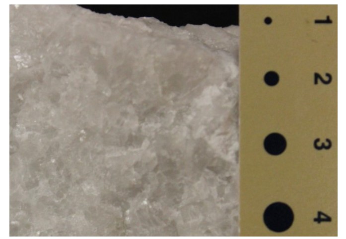 Solved Note: The metamorphic rock shown here reacts readily | Chegg.com