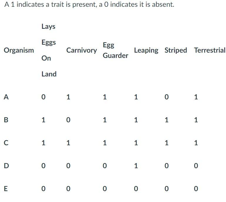 Solved You are investigating four new species A-D of | Chegg.com