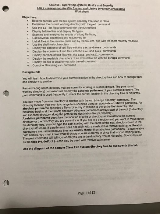 Solved Worksheet Objectives Become familiar with the file | Chegg.com