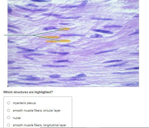 Solved ood Po o boo gog oc 000 0000 og V 9 Which formed | Chegg.com