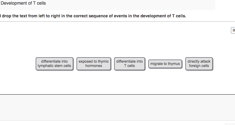 Solved Development of T cells drop the text from left to | Chegg.com