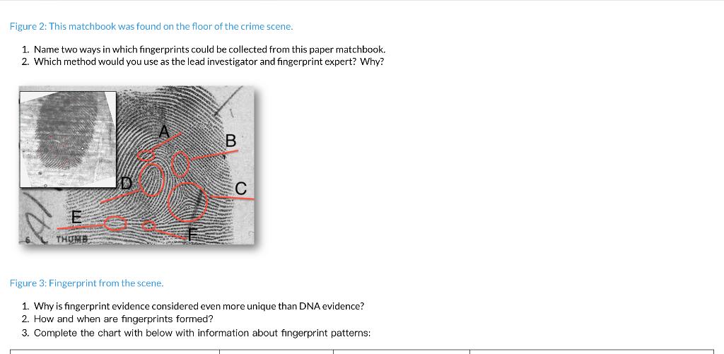 Fingerprint Portfolio Instructions A burglary | Chegg.com