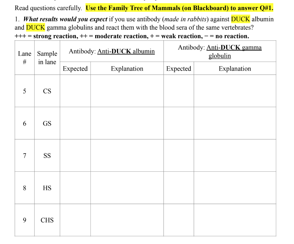 A Family Tree of the Mammals The Ungulates Cetaceans | Chegg.com