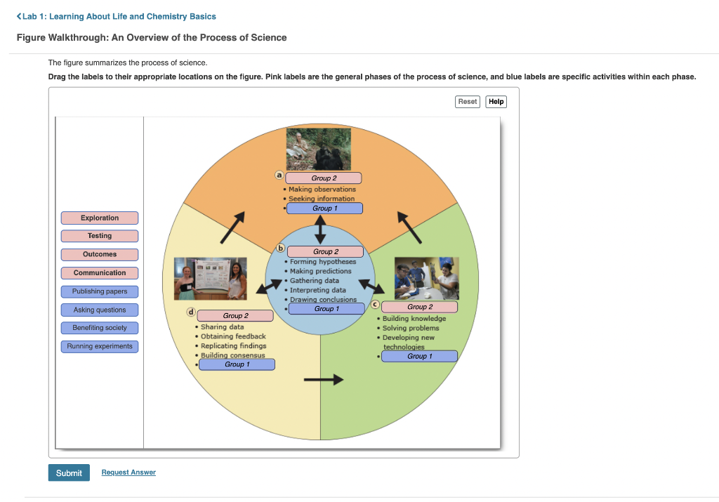 Solved undefined | Chegg.com