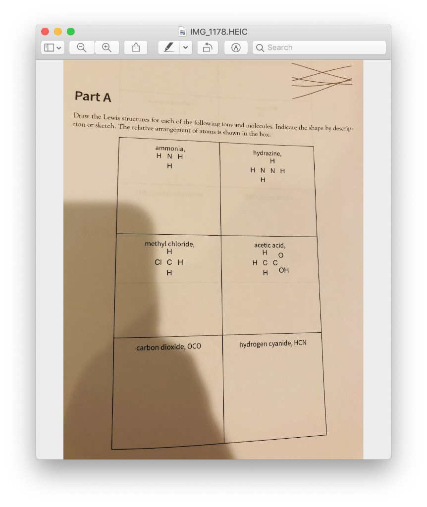 Solved The following is what I will be looking for: 1) | Chegg.com