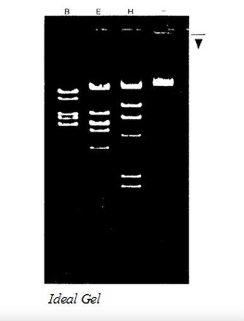 Solved J11! 11 I III! II III8. The following table shows the | Chegg.com