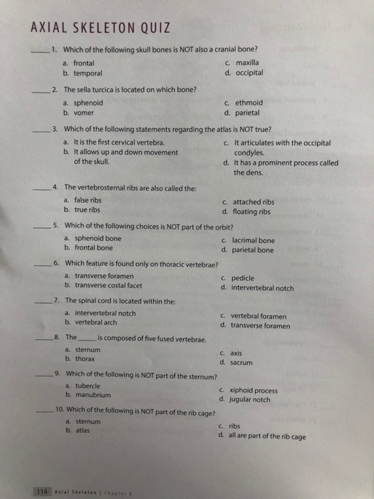 Solved: AXIAL SKELETON QUIZ 1. Which Of The Following Skul... | Chegg.com