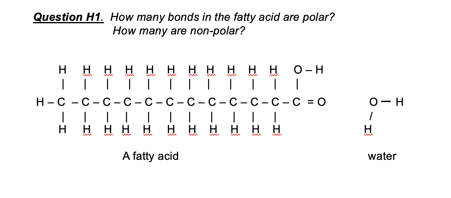 Solved Question H1. How many bonds in the fatty acid are | Chegg.com