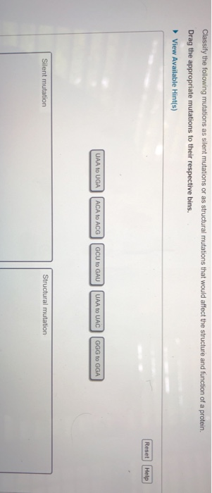 Solved Classify the following mutations as silent mutations | Chegg.com