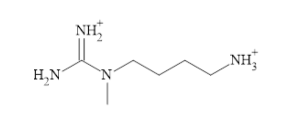 Solved NH NH HAN | Chegg.com
