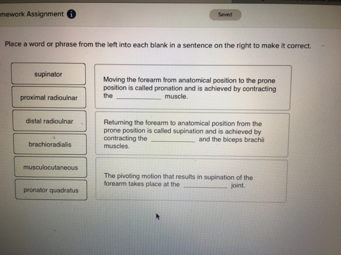 Solved mework Assignment Saved Place a word or phrase from | Chegg.com Solved mework Assignment Saved Place a word or phrase from | Chegg.com
