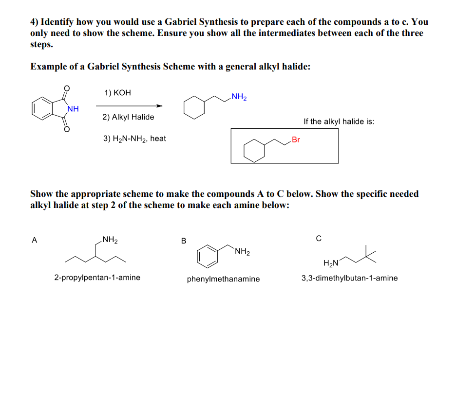 Solved 4) Identify how you would use a Gabriel Synthesis to | Chegg.com