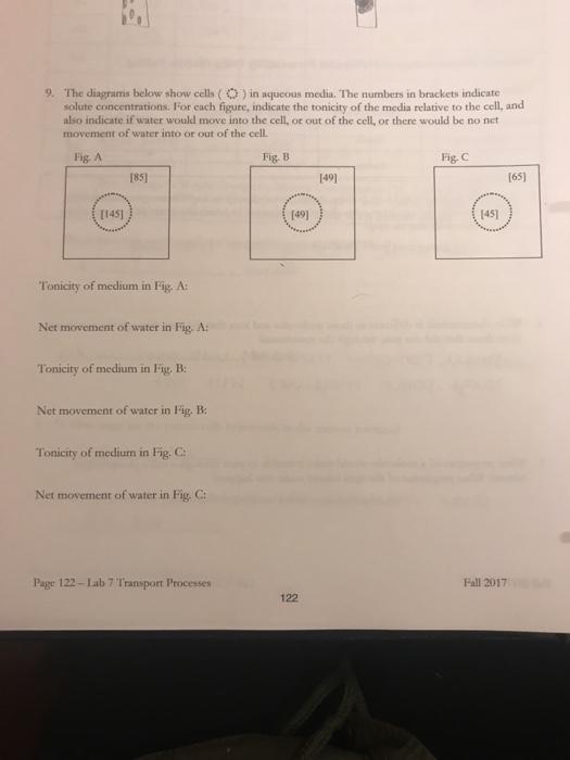 Solved The diagrams below show cells ( 0 ) in aqueous media. | Chegg.com