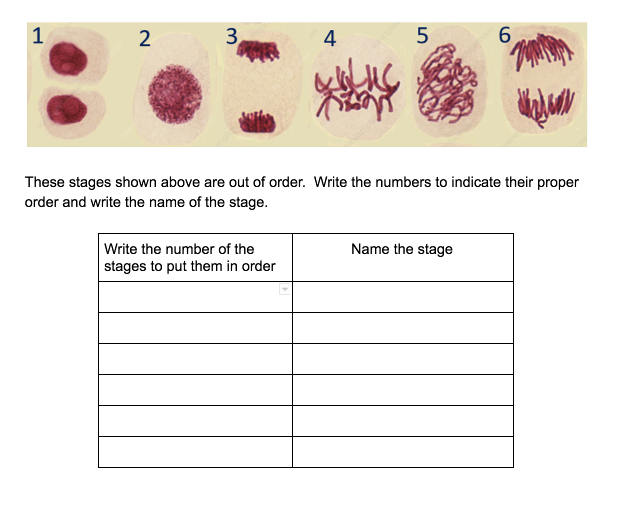 Solved 1 2 3 4 5 6 These stages shown above are out of | Chegg.com