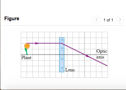 Solved (Figure 1) shows a small plant near a thin lens. The | Chegg.com