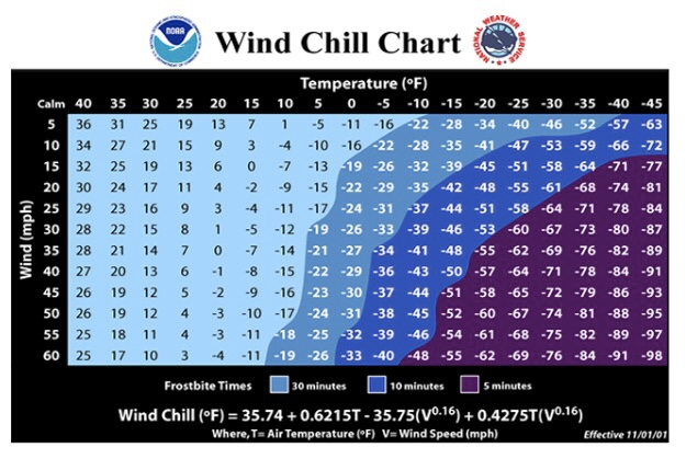 Solved Using your knowledge of loops and other Python | Chegg.com