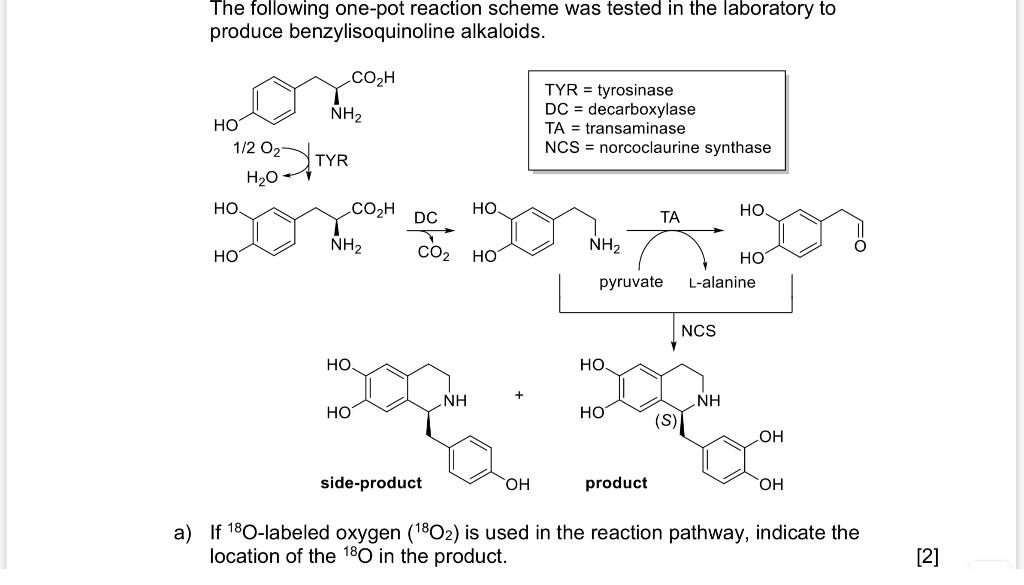 Solved The following one-pot reaction scheme was tested in | Chegg.com