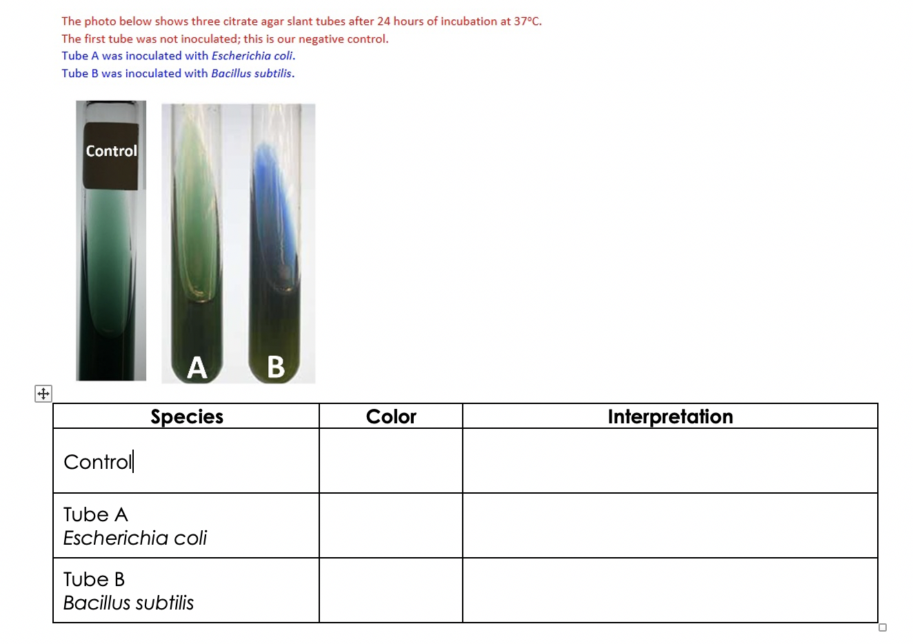 Solved The photo below shows three citrate agar slant tubes | Chegg.com