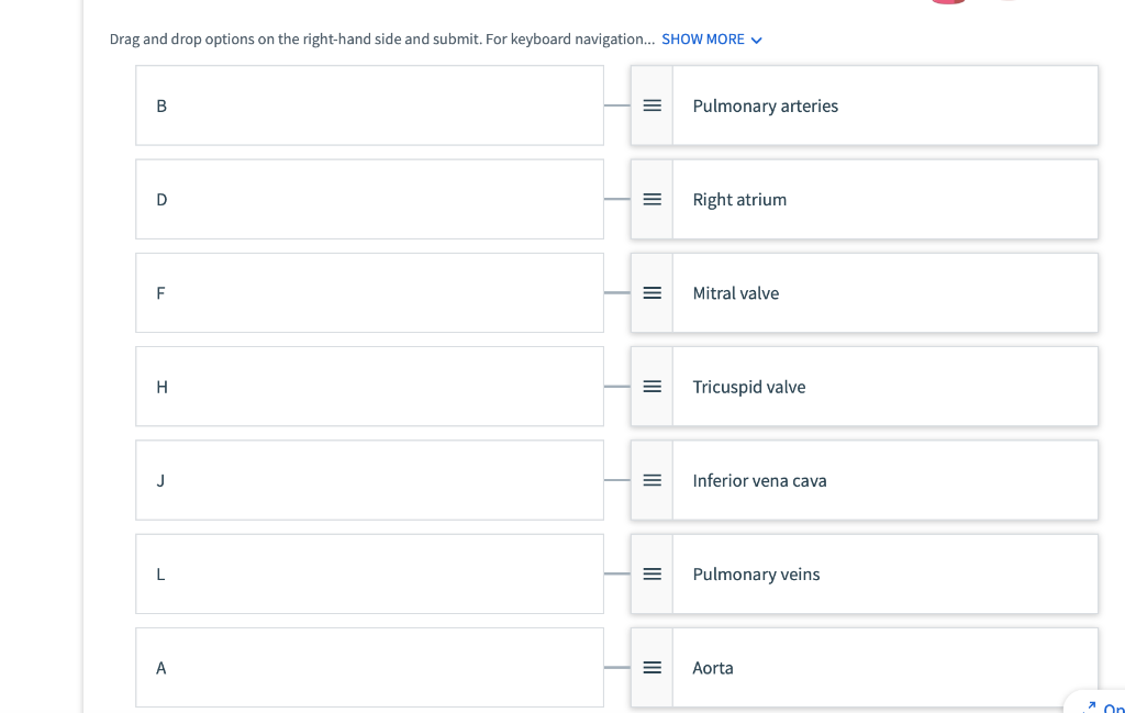 Match The Structure With The Correct Letter From The Diagram