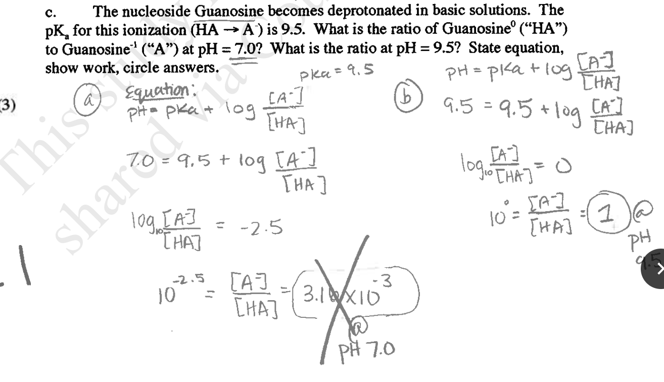 Solved C. The nucleoside Guanosine becomes deprotonated in | Chegg.com