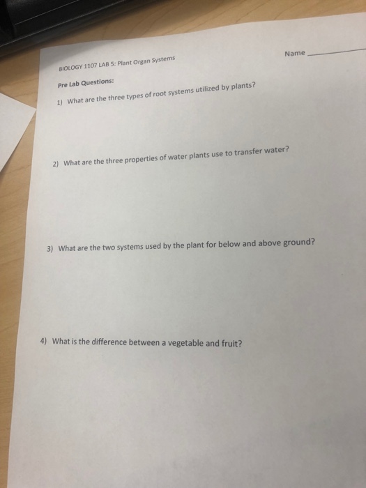 Solved BIOLOGY 1107 LAB 5: Plant Organ Systems Pre Lab | Chegg.com