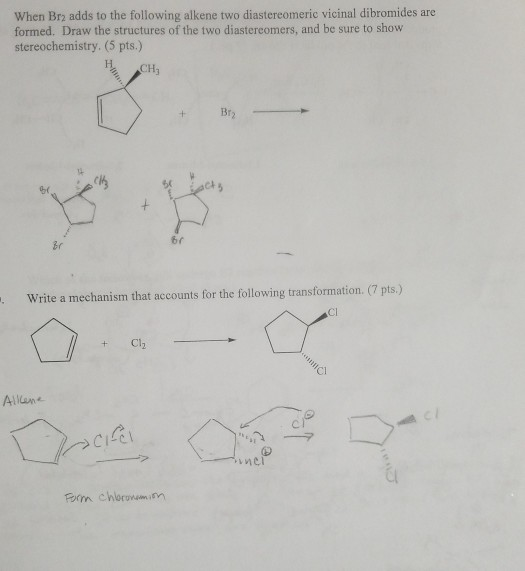 Solved When Br adds to the following alkene two | Chegg.com