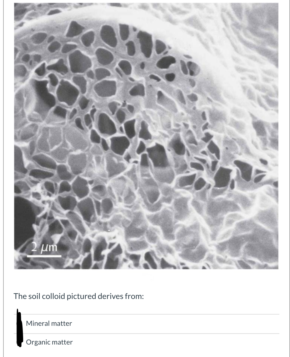 Solved 2μή Which type of soil colloid is represented in this | Chegg.com