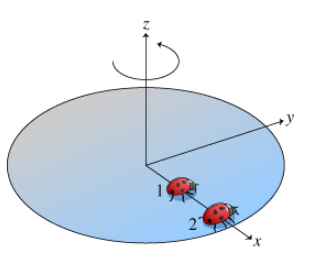 Solved Two ladybugs sit on a rotating disk, as shown in the | Chegg.com