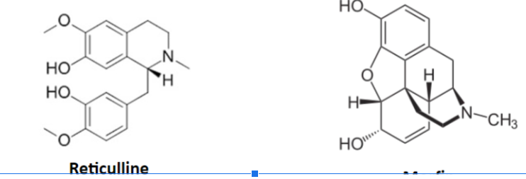 Solved Opoids synthesize a precursor called reticuline. | Chegg.com