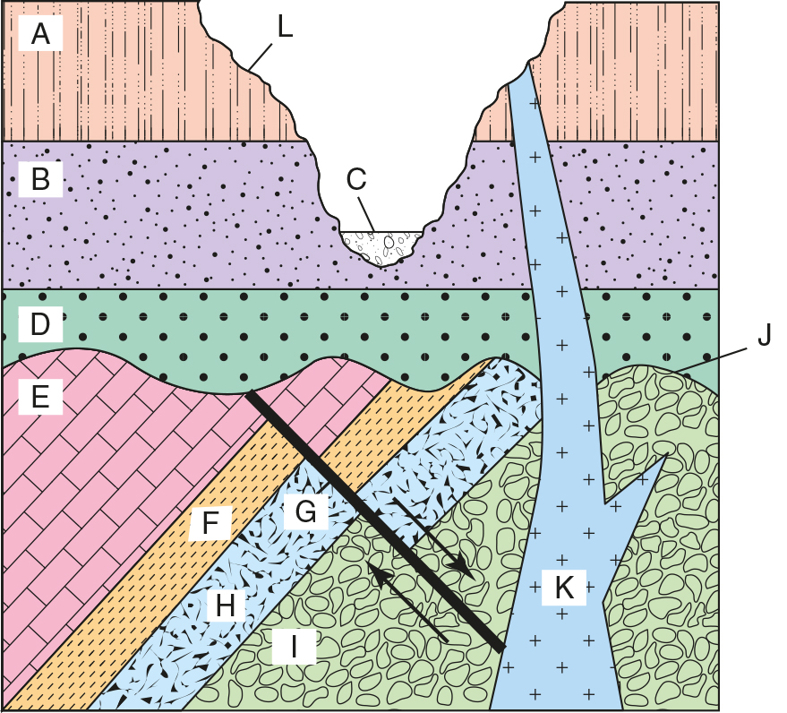 Solved Using the geologic cross section above, put the rock | Chegg.com