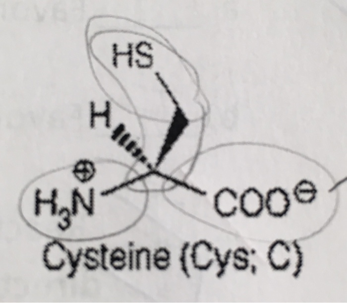 Solved 1. Calculate pI of the cysteine at pH7 | Chegg.com