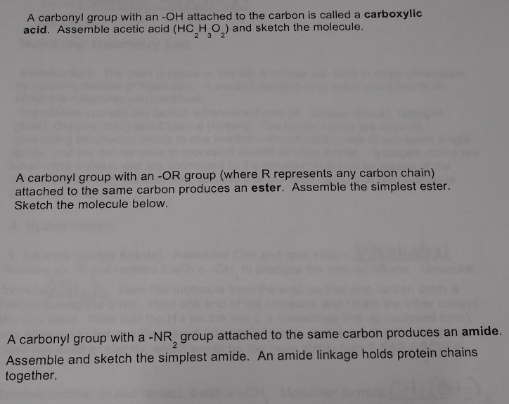 Solved A carbonyl group with an -OH attached to the carbon | Chegg.com