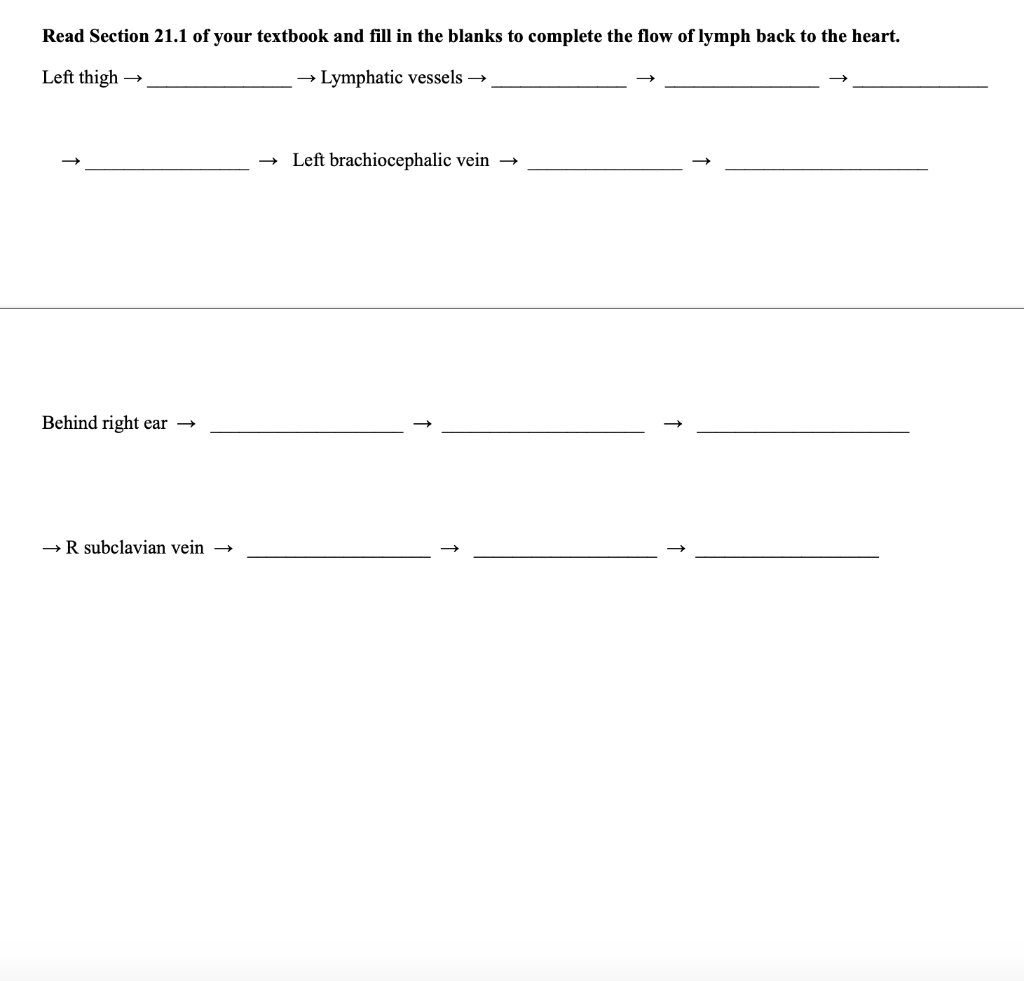 Solved BIO 213: Lab Homework Assignment Lymphatic/Immune | Chegg.com