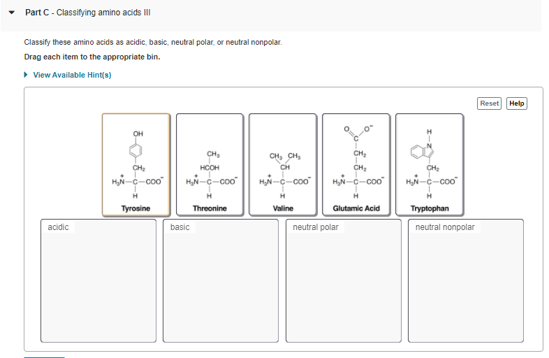 Solved Part C-Classifying amino acids III Classify these | Chegg.com