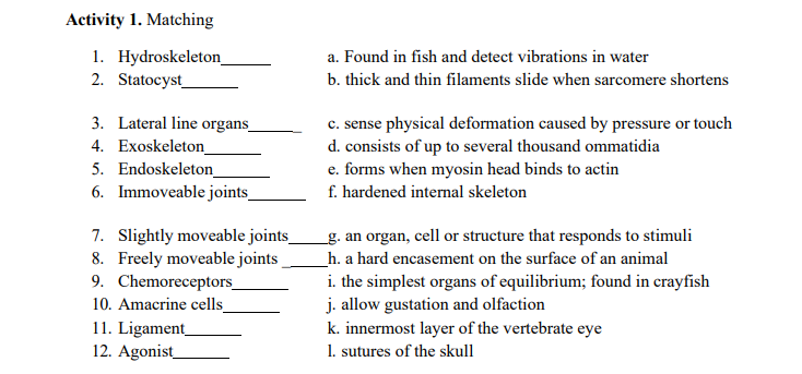 Solved Activity 1. Matching 1. Hydroskeleton 2. Statocyst a. | Chegg.com