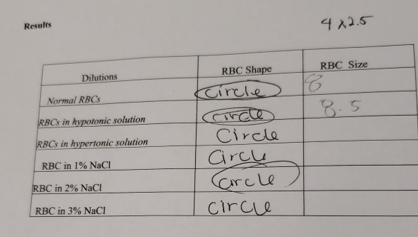 Solved Results RBC Shape RBC Size Dilutions Normal RBC RBCs | Chegg.com