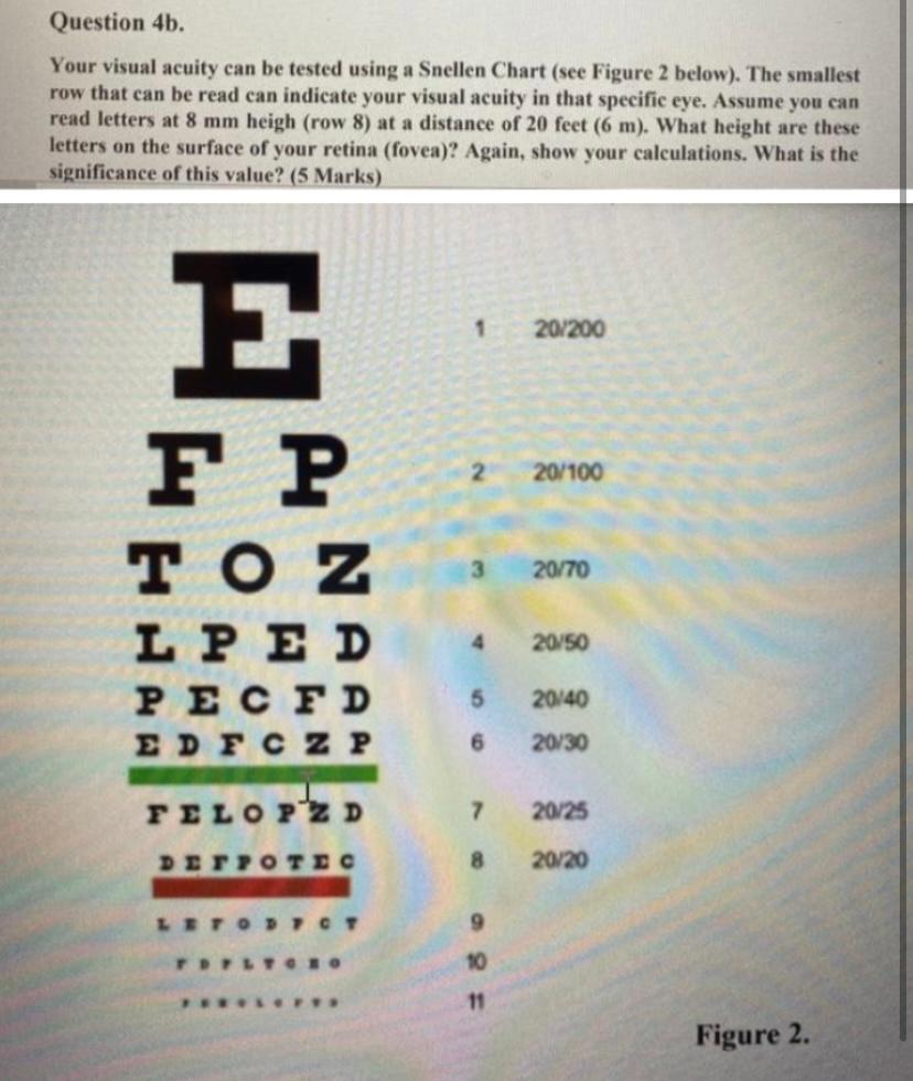 Question 4b. Your visual acuity can be tested using a | Chegg.com