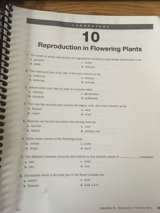 Solved LABORATORY 10 Reproduction in Flowering Plants 1. The | Chegg.com