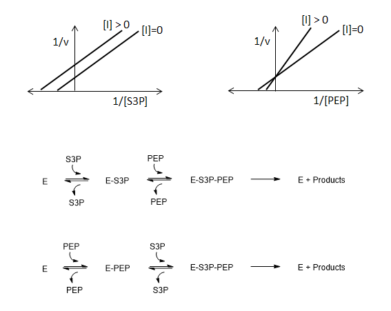 Solved EPSP synthase is the target of the enzyme inhibitor | Chegg.com
