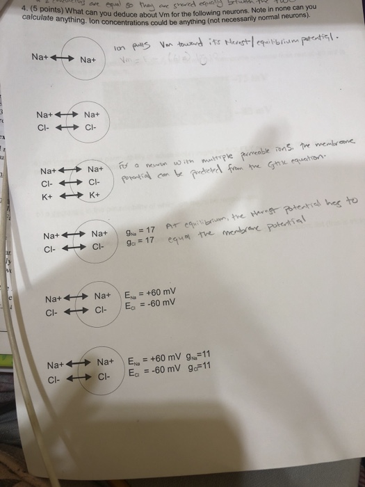 Solved 4. (5 points) What can calculate anything. lon you | Chegg.com