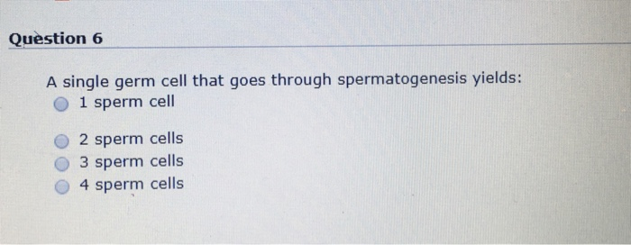 Solved Question 6 A single germ cell that goes through | Chegg.com