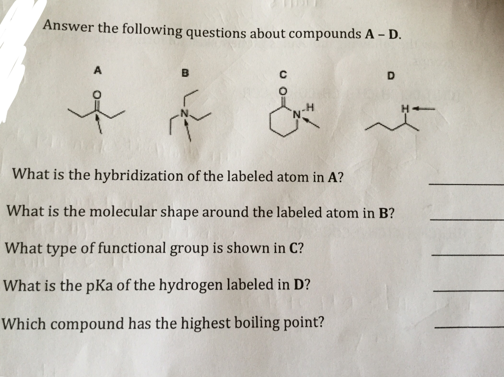 Solved Answer the following questions about compounds A - D. | Chegg.com