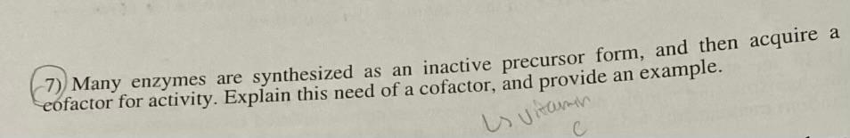 Solved 7) Many enzymes are synthesized as an inactive | Chegg.com