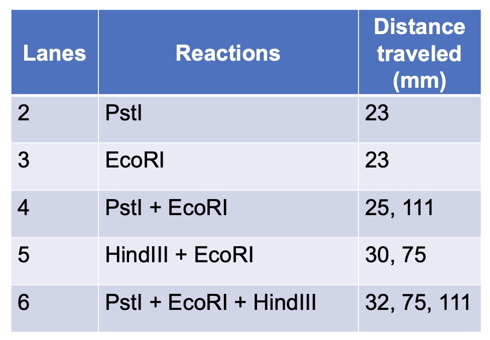 Solved The migration distance by the standards generated | Chegg.com