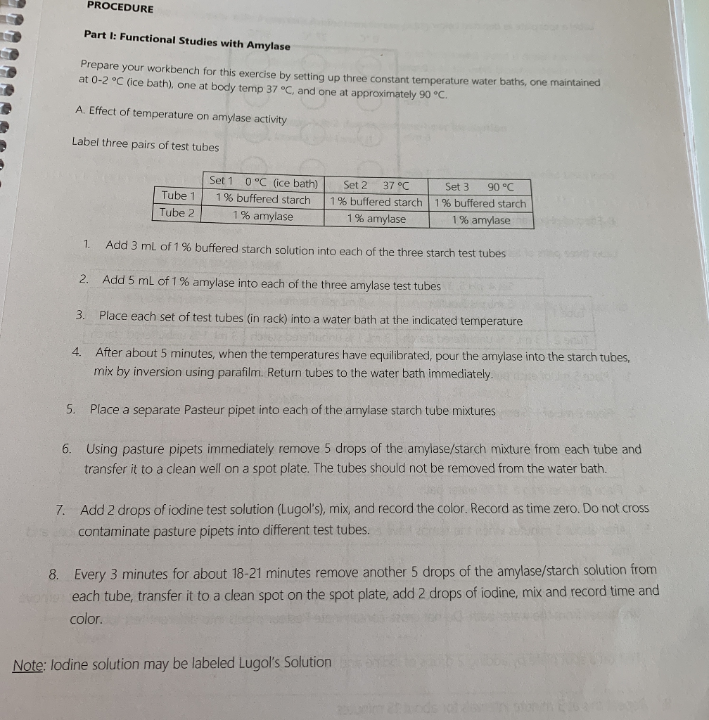 Solved PROCEDURE Part I: Functional Studies with Amylase | Chegg.com