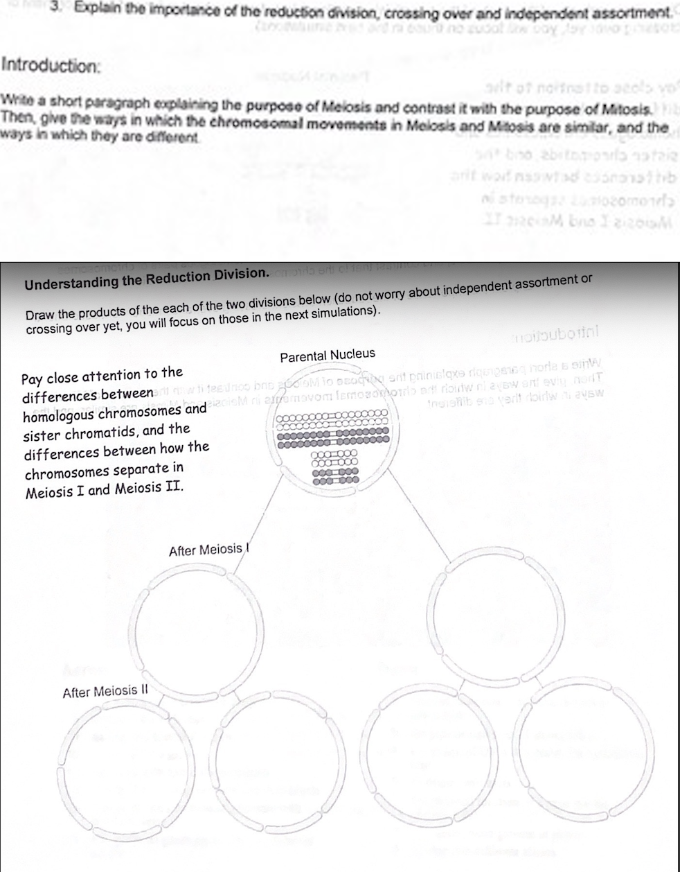 Solved 3. Explain the importance of the reduction division, | Chegg.com