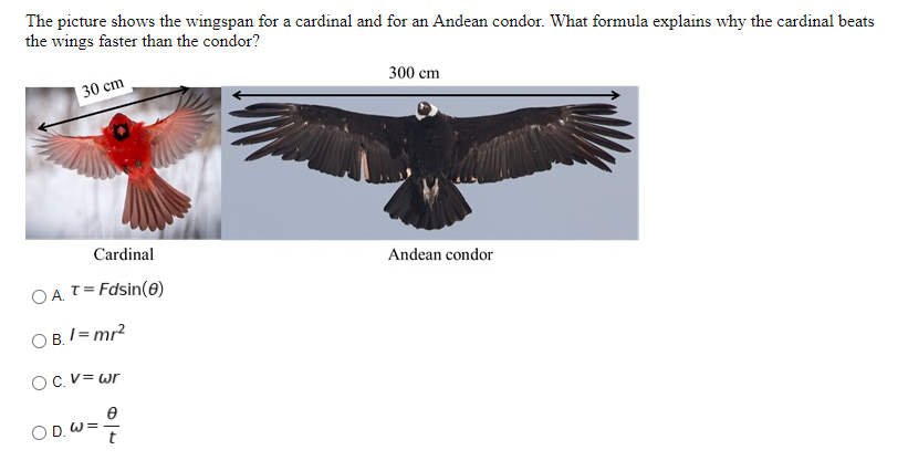 Solved The picture shows the wingspan for a cardinal and for | Chegg.com