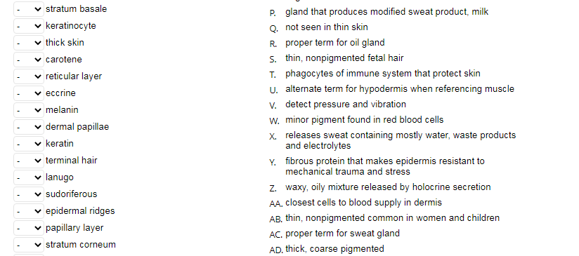 Solved P. gland that produces modified sweat product, milk | Chegg.com