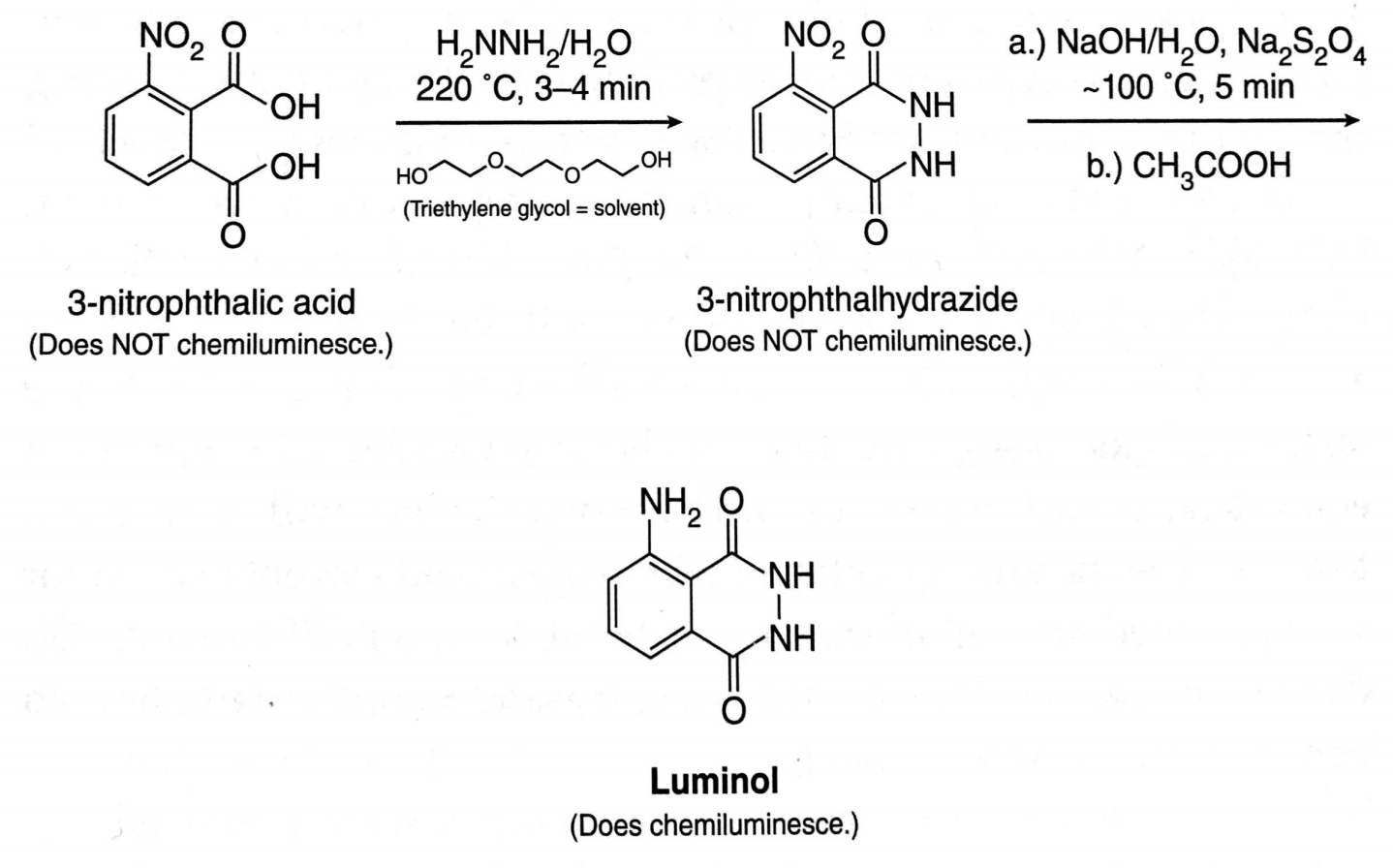 Solved In the procedure for the synthesis of luminol. 1. | Chegg.com